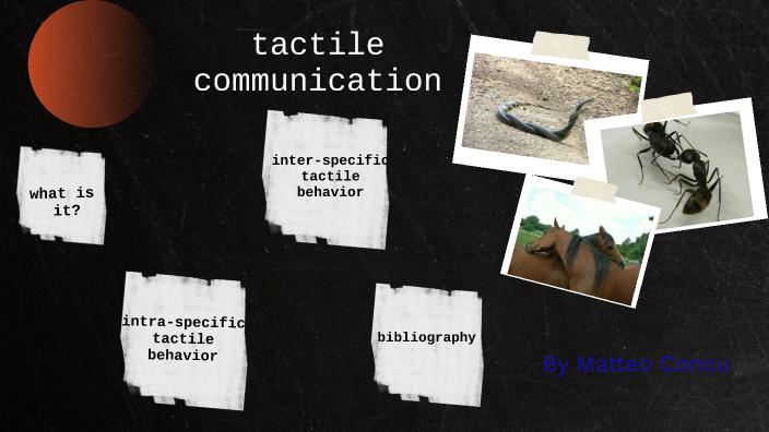 tactile communication by Matteo Conc on Prezi