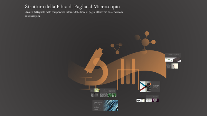 Struttura della Fibra di Paglia al Microscopio by sara lino on Prezi