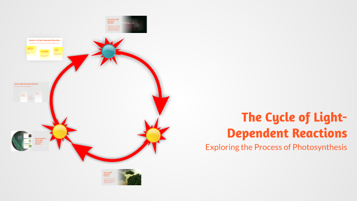 The Cycle of Light-Dependent Reactions by Tweenkel Lopez on Prezi