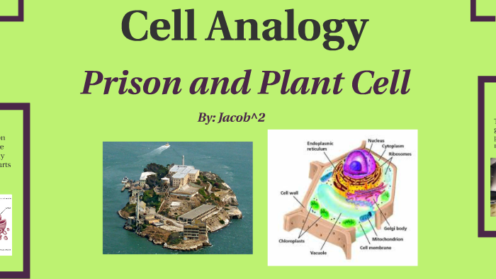 Cell Analogy: Prison to Plant Cell by Jacob Wagoner on Prezi