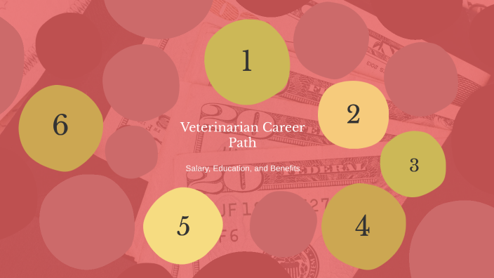 Veterinarian Career Path by Kira Lievan on Prezi