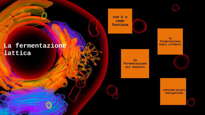 La fermentazione lattica by Letizia Moroni on Prezi