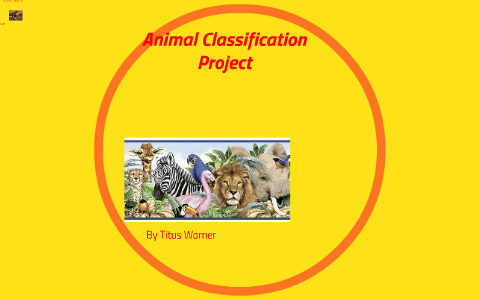 Animal Classification Project by Titus Warner