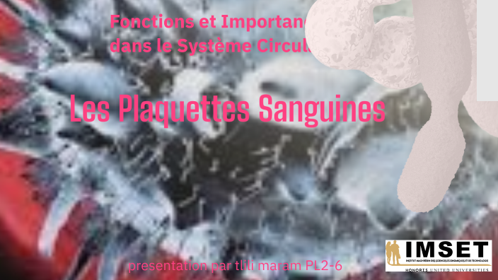 les plaquettes sanguines par tlili maram by maram tlili on Prezi