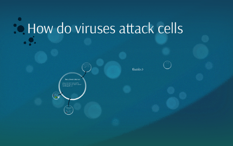 How do viruses attack cells by hudson puckett on Prezi