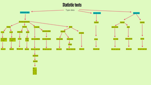 Flowchart statistics by Anne Bonneveld on Prezi Design
