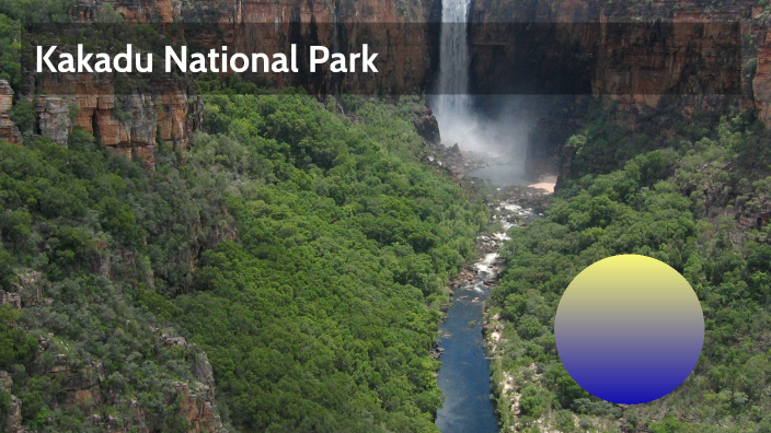 Kakadu by Brian Poh on Prezi