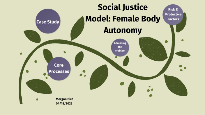 Social Justice Model by Morgan Bird on Prezi
