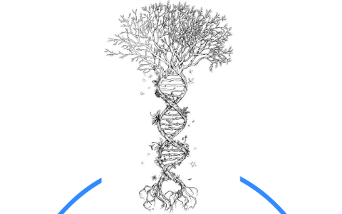 The Tree of Life by Dan Cloer on Prezi