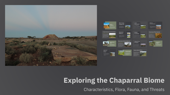Chaparral Biome by Isaac Walker-Student on Prezi
