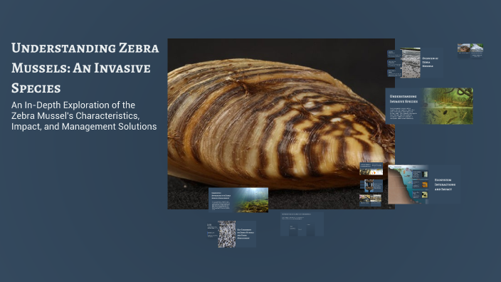 Understanding Zebra Mussels: An Invasive Species by Camila Morales on Prezi