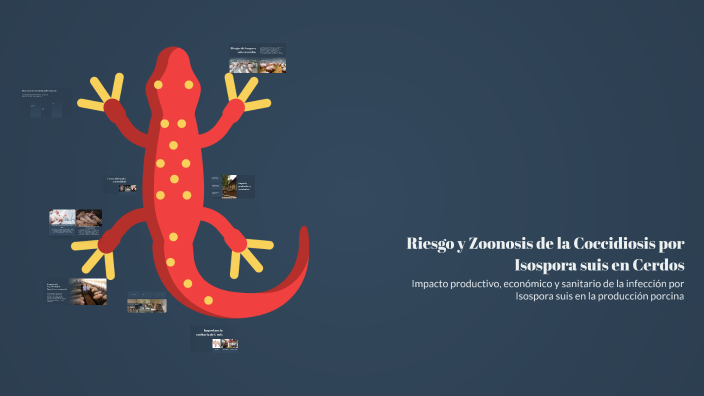 Riesgo y Zoonosis de la Coccidiosis por Isospora suis en Cerdos by ...