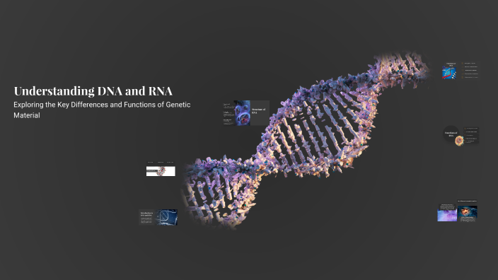 Understanding DNA and RNA by حساب السوني on Prezi
