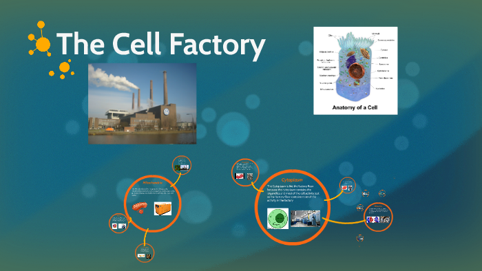 The Cell Factory by Cody Doyle on Prezi