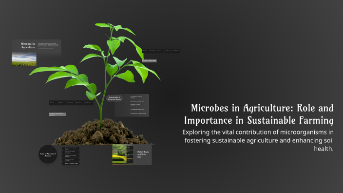 Microbes in Agriculture: Role and Importance in Sustainable Farming by ...