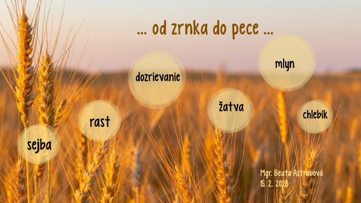 AKO RASTIE CHLIEB by Beata Beata on Prezi