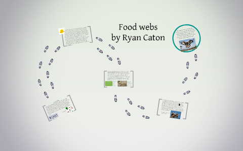 Food Webs by ryan caton