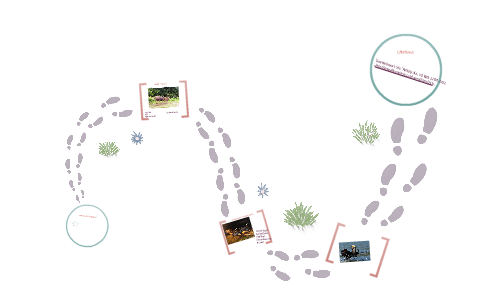 Animals in Yangshuo by Sydney Sears on Prezi