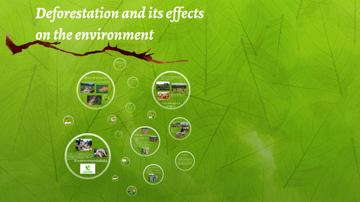 Deforestation by julia ranum on Prezi
