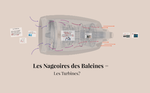 Les Nageoires des Baleines = by Lucas Rempel on Prezi