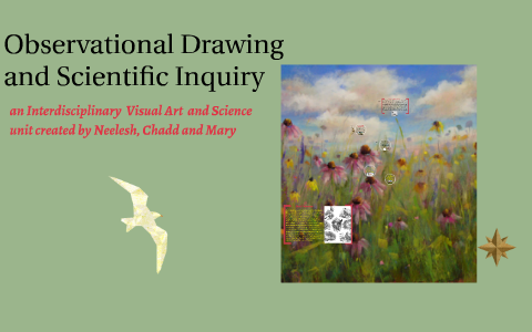 Observational Drawing and Scientific Inquiry by Mary Palmer on Prezi