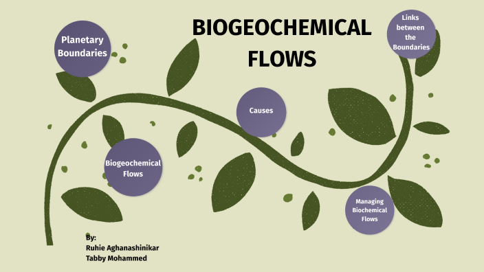 Biogeochemical Flows by R G on Prezi