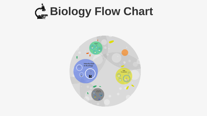 Biology Flow Chart by molly flynn on Prezi