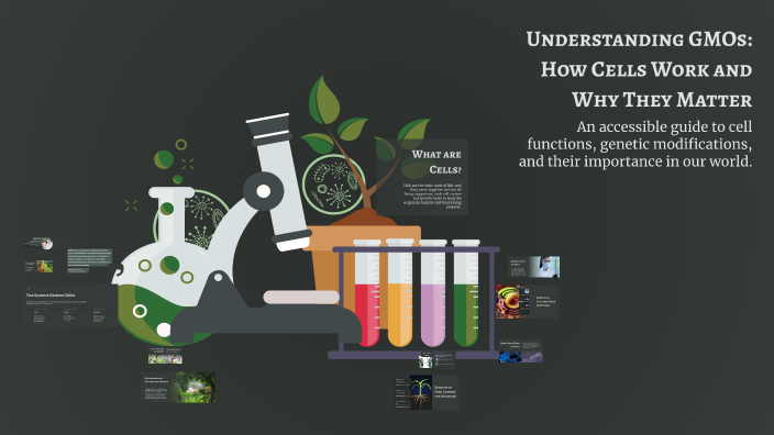 Understanding GMOs: How Cells Work and Why They Matter by Rat Rat on Prezi