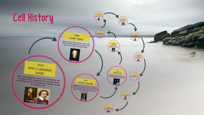 Cell History Timeline by Ashton Hall on Prezi