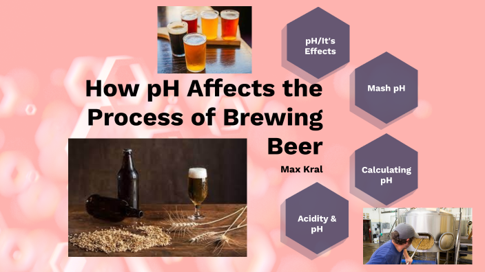How pH Levels Affect the Process of Brewing Beer by Max Kral on Prezi