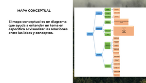 MAPA CONCETUAL -MAPA MENTAL by leidy Maritza Coral Castro on Prezi Design