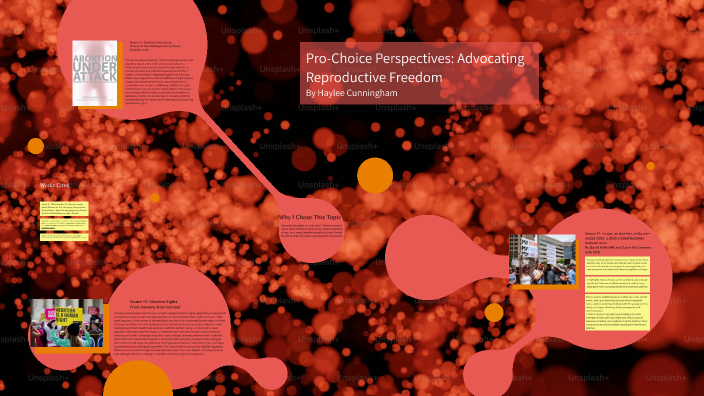 Pro Choice Perspectives: Advocating Reproductive Freedoms by Haylee ...