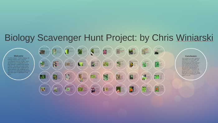 Biology Scavenger Hunt Project by Chris Winiarski on Prezi