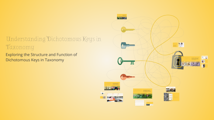 Understanding Dichotomous Keys in Taxonomy by Annie Birrell on Prezi