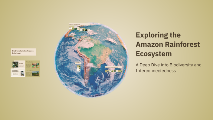 Exploring the Amazon Rainforest Ecosystem by Preston McGrann on Prezi