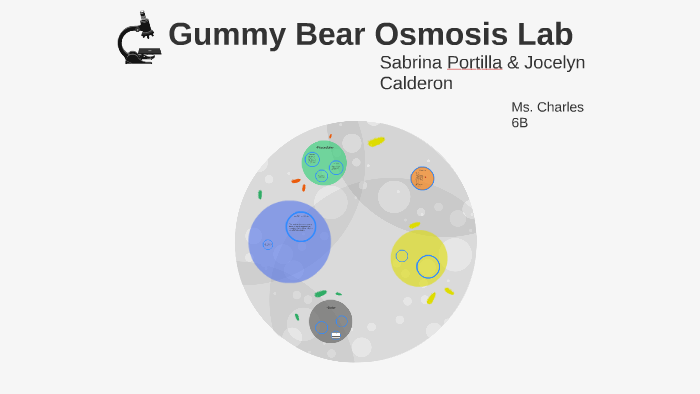 Gummy Bear Osmosis Lab by Sabrina Portilla on Prezi