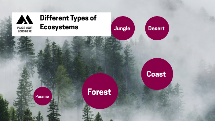 Different Types of Ecosystems by dahiana sepulveda on Prezi
