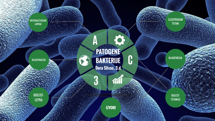 PATOGENE BAKTERIJE by Dora Slivac on Prezi