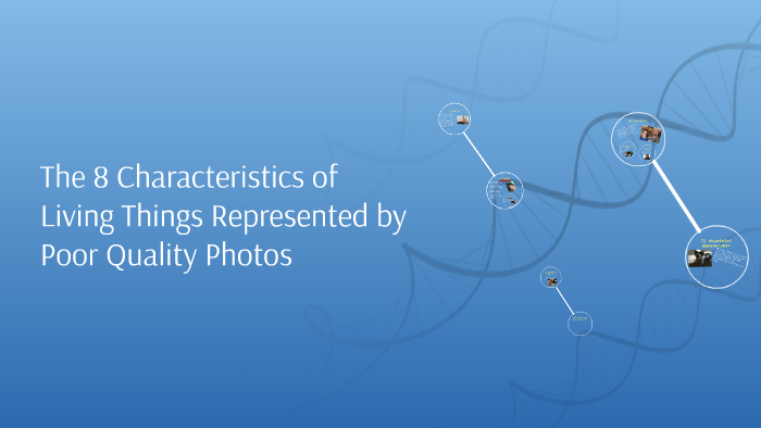 The 8 Characteristics of Living Things Represented by Photos by Renee ...