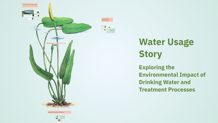 Water Usage Story by Ana Bradley on Prezi