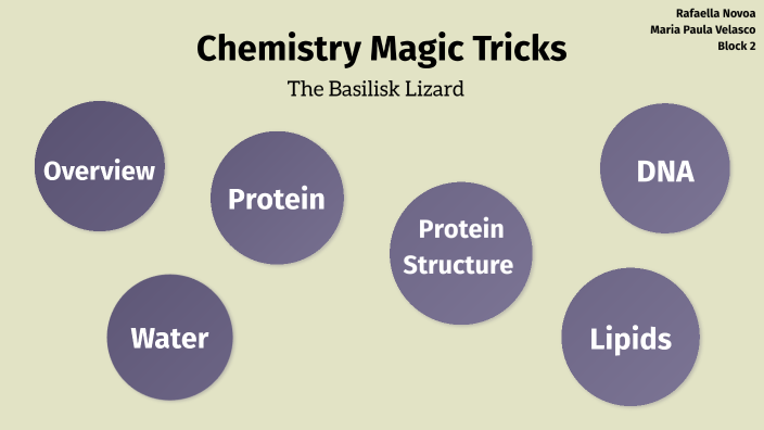 Chemistry Magic Trick: Basilisk Lizard - Rafaella Novoa & Maria Paula ...