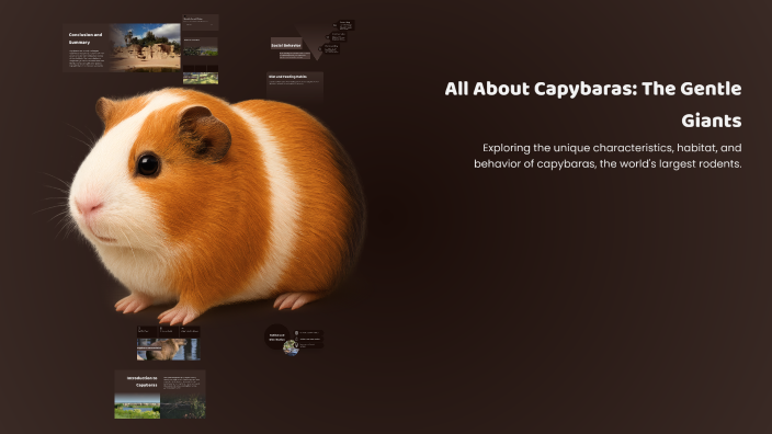 All About Capybaras: The Gentle Giants by kate dubnik on Prezi