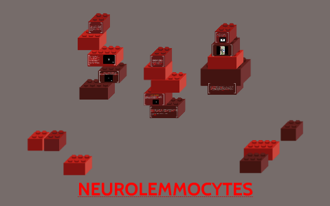 NEUROLEMMOCYTES by Antonella Mendoza on Prezi