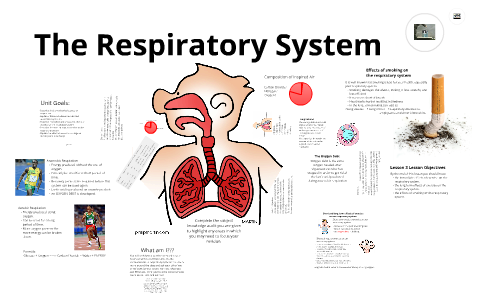 Edexcel GCSE The Respiratory System by Simone Jones on Prezi