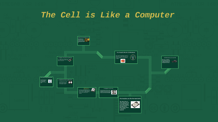 The Cell is Like a Computer by Andrew Chong on Prezi