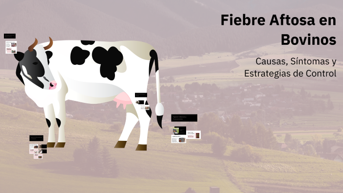 Fiebre Aftosa en Bovinos by Sebastian Sabando on Prezi
