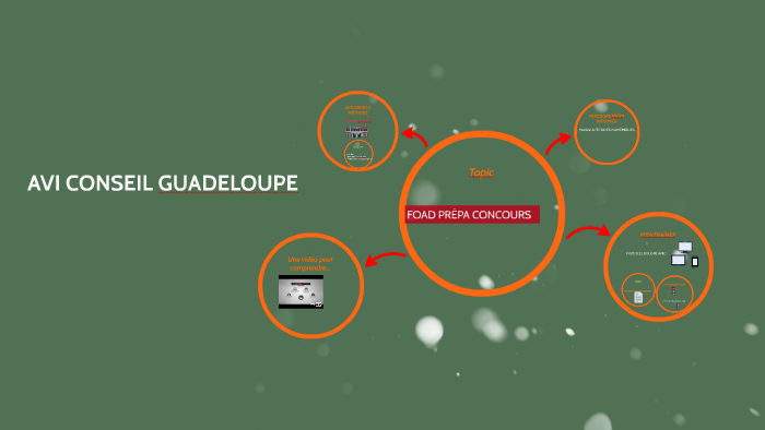 AVI CONSEIL GUADELOUPE by Sandra ALGER on Prezi