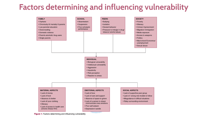 Factors determining and influencing vulnerability by nativia s on Prezi