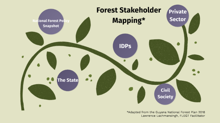 Forest Stakeholder Map by Lawrence Lachmansingh on Prezi