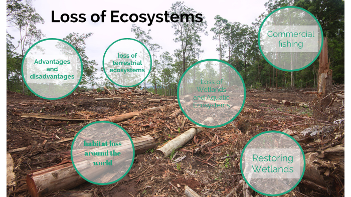 Loss of Ecosystems by orhe Malham on Prezi